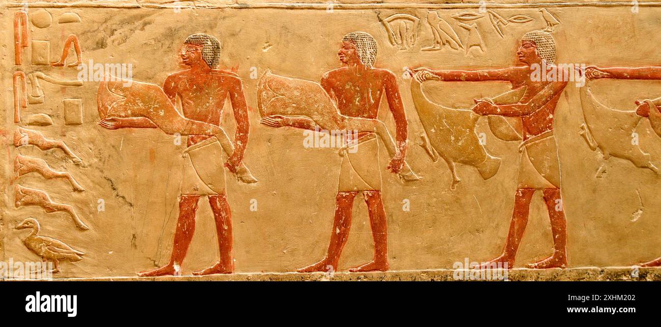 Egypt, Lower Egypt, Saqqara, Saqqara funerary complex, listed as World ...