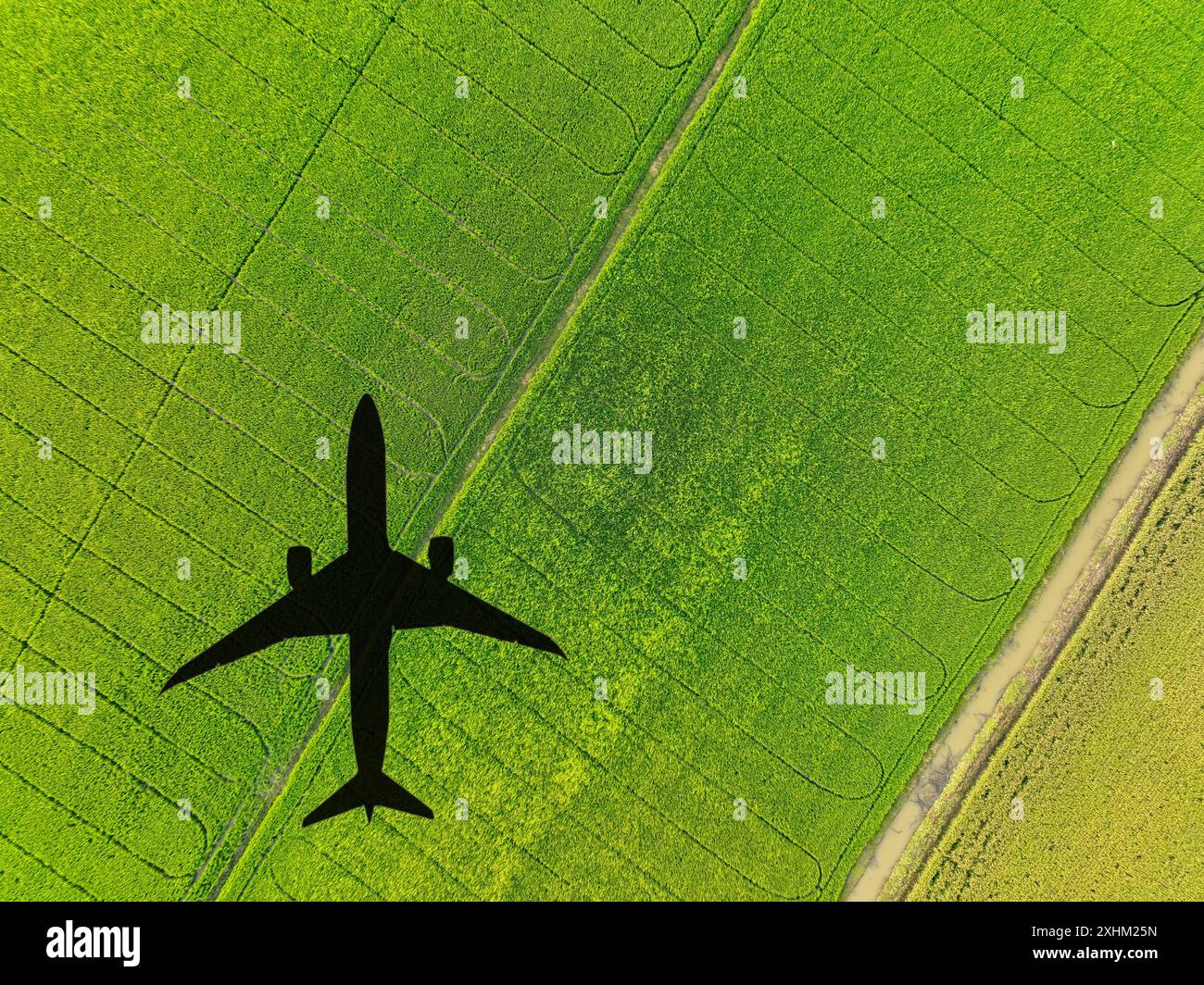 Shadow airplane flying above green field. Sustainable fuel. Biofuel in ...