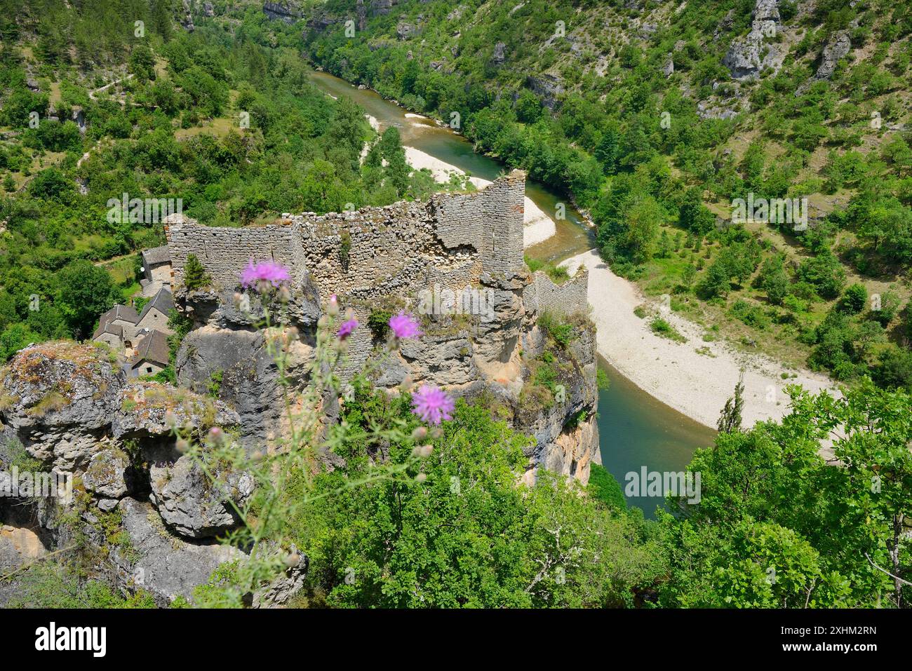 France, Lozere, Gorges du Tarn, Castelbouc Stock Photo - Alamy