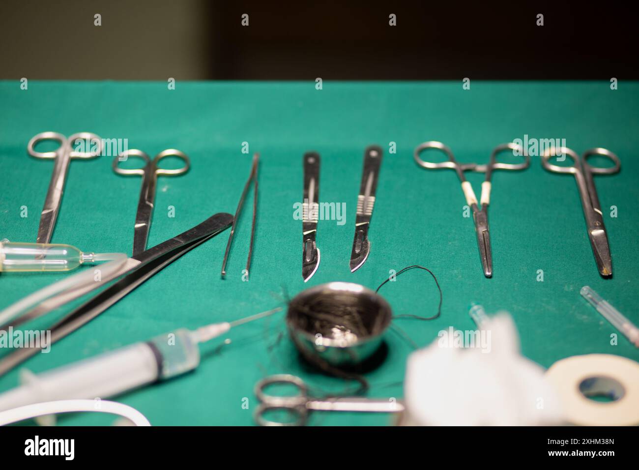 Veterinary prepareing the surgical instruments in operating room Stock ...