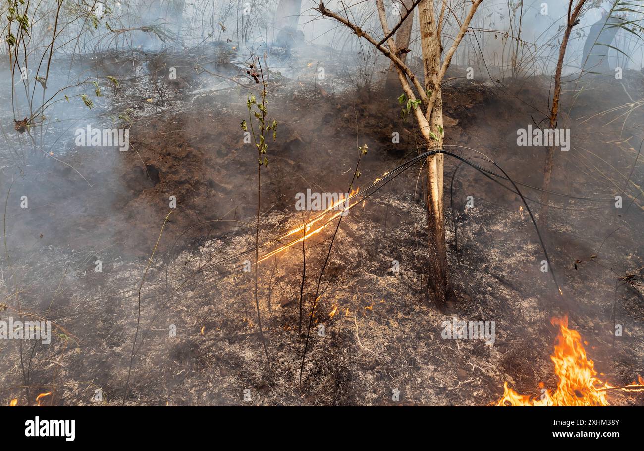 Internet fibre cable damage hi-res stock photography and images - Alamy