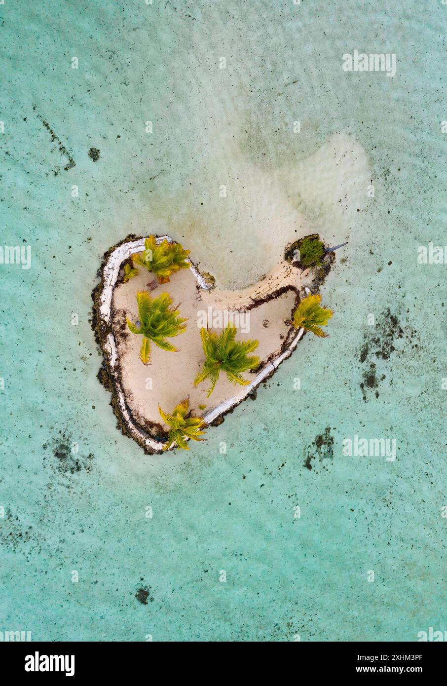 French Polynesia, Taha'a island, heart-shaped motu and coconut palm ...