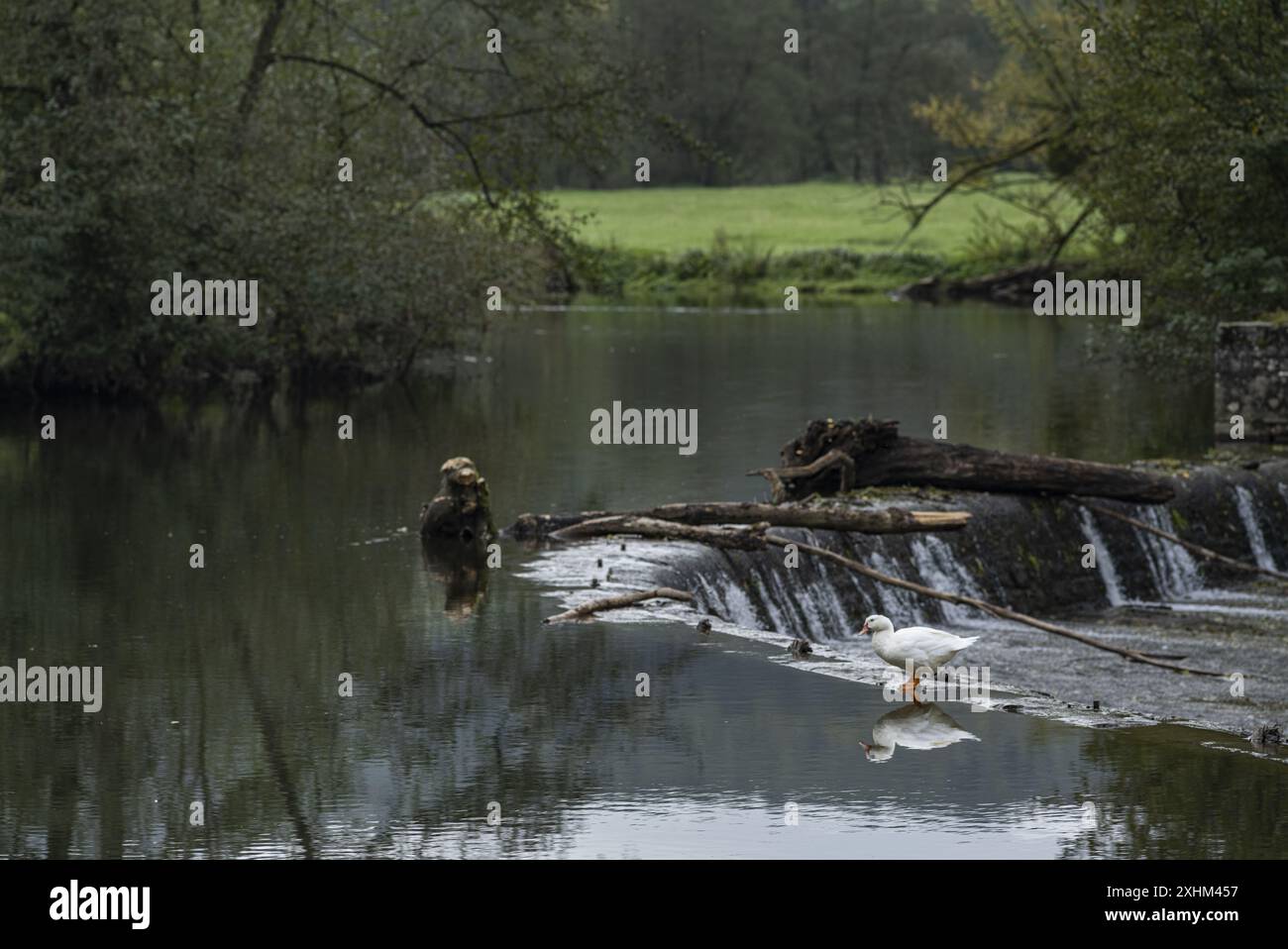 Meuse river valley hi-res stock photography and images - Alamy