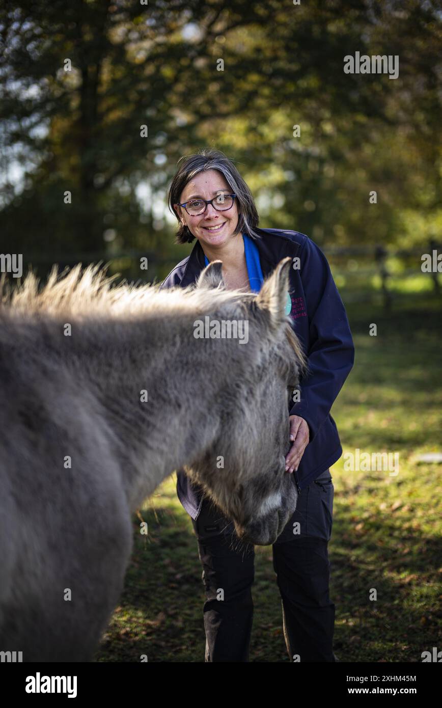 France, Ardennes, Monthermé, Hauts Buttes marsh, Regional narural park ...