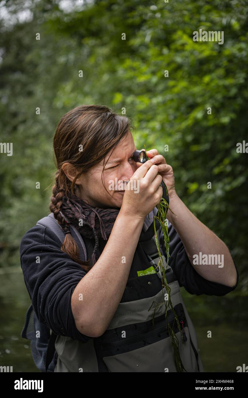 France, Bas Rhin, Strabourg, Rohrschollen nature reserve, Inventory of ...