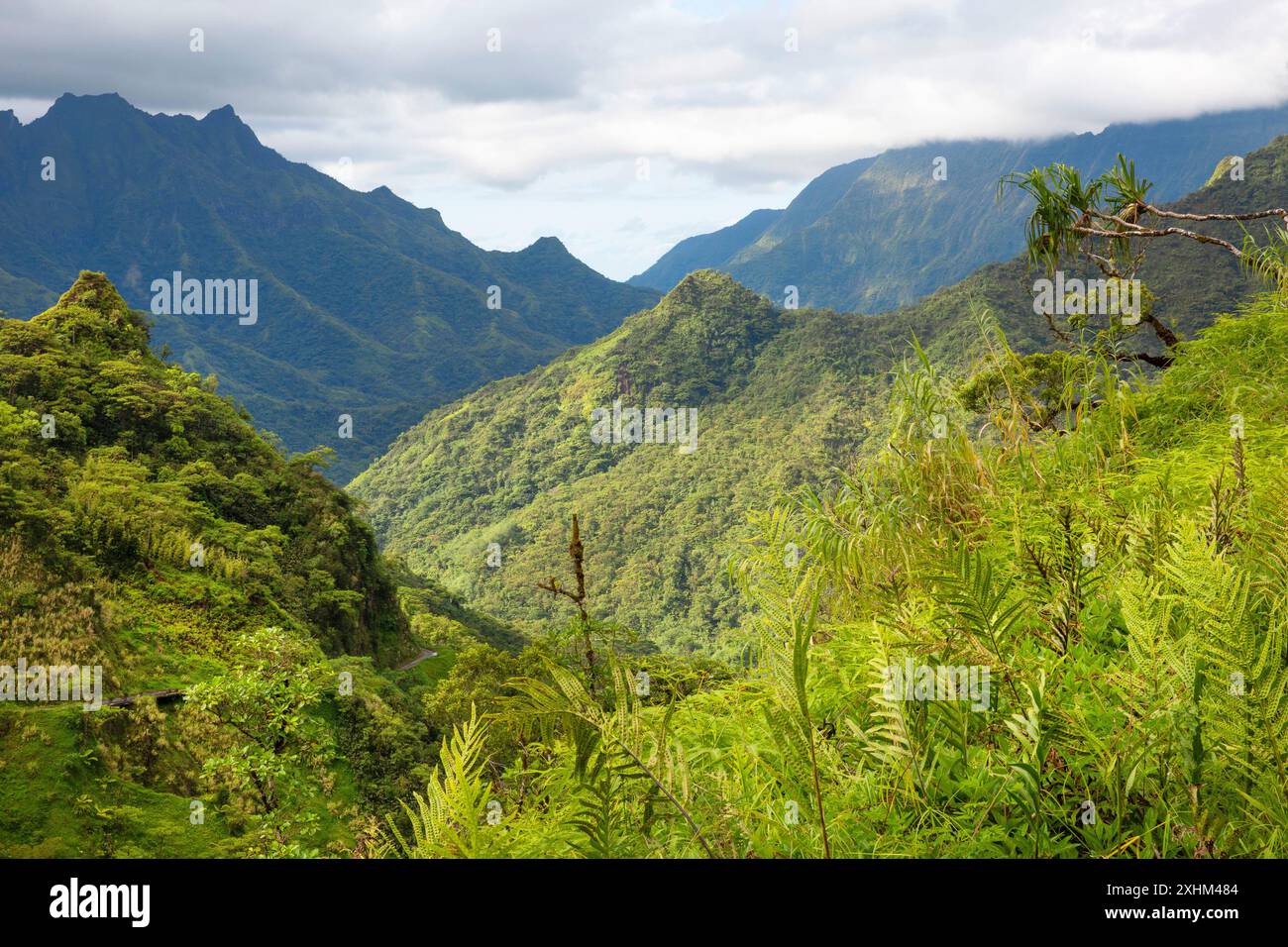 French Polynesia, Tahiti island, Papenoo valley, wild and green ...
