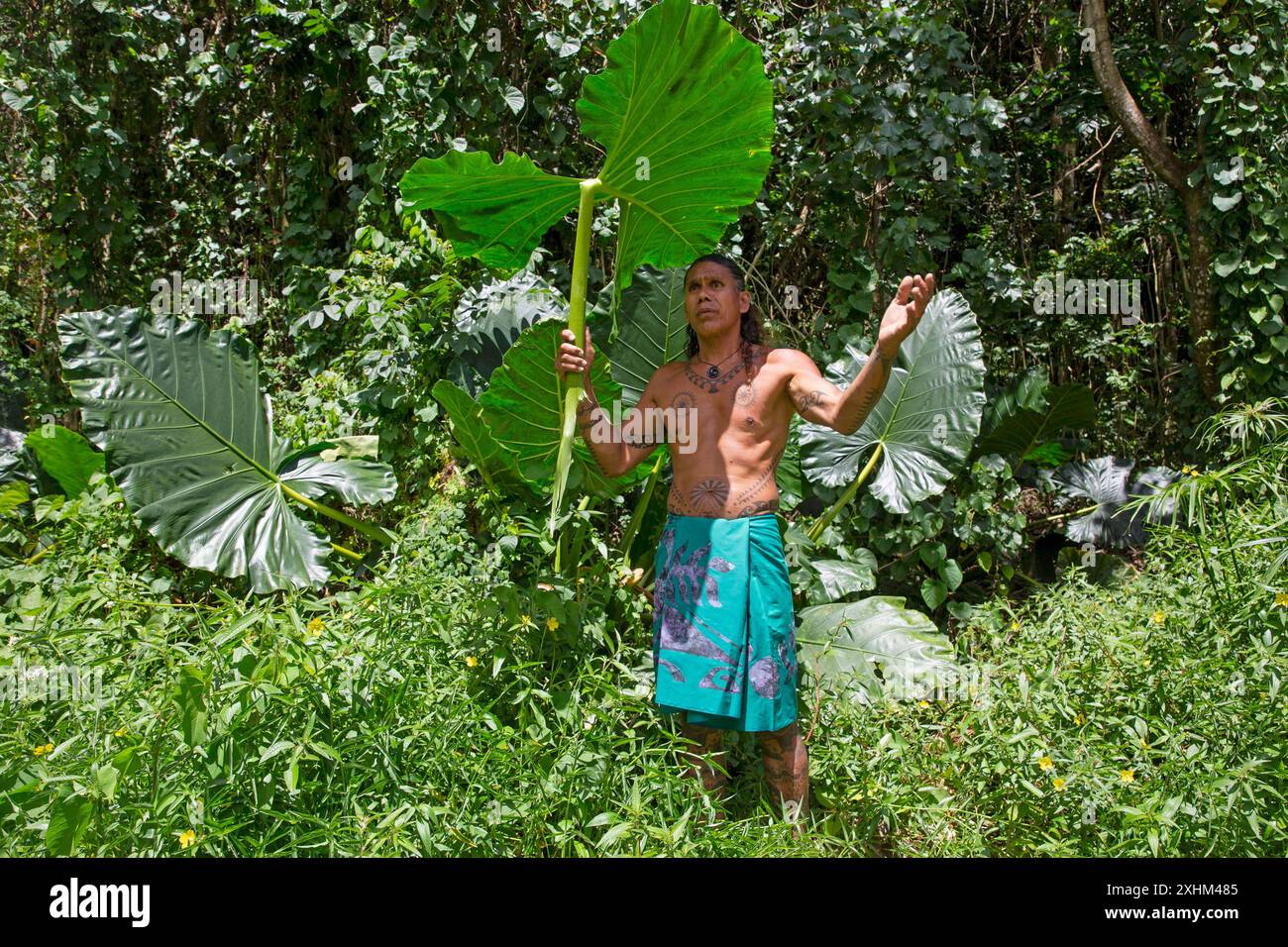French Polynesia, Tahiti island, Papenoo valley, Teuai Lenoir ...