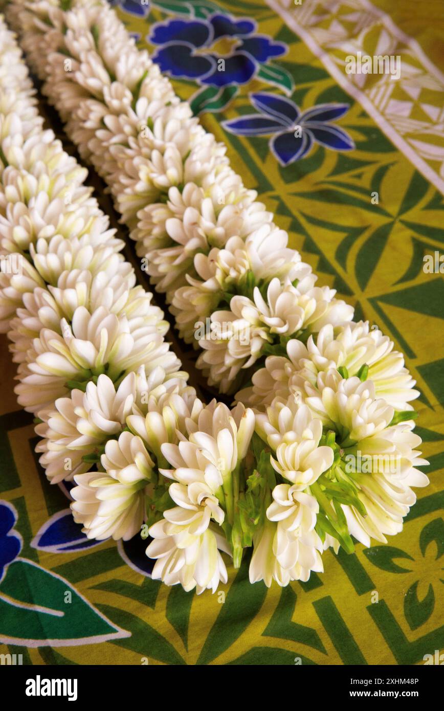 French Polynesia, Tahiti island, Papeete, crown of tiara flowers placed ...