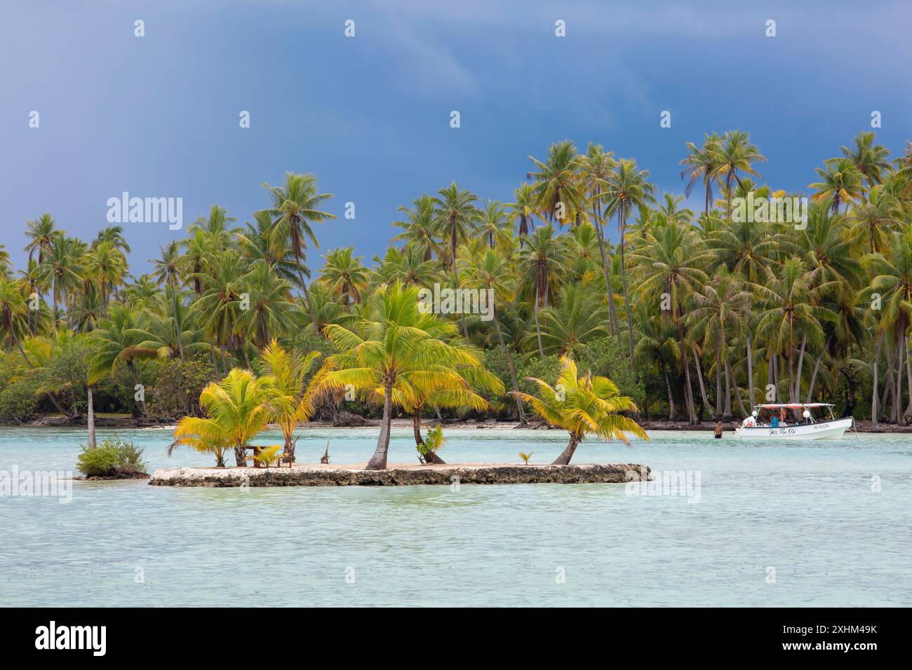 French Polynesia, Taha'a island, motu planted with coconut palms and ...