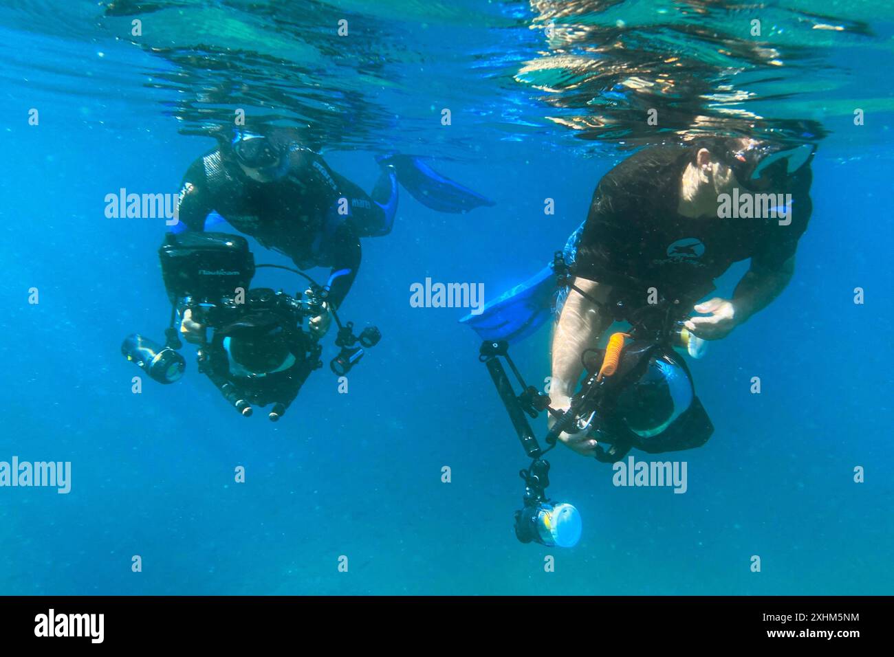 Sultanate of Oman, Governorate of Muscat, Nature Reserve of the ...