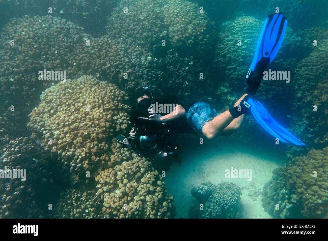 Sultanate of Oman, Governorate of Muscat, Nature Reserve of the ...