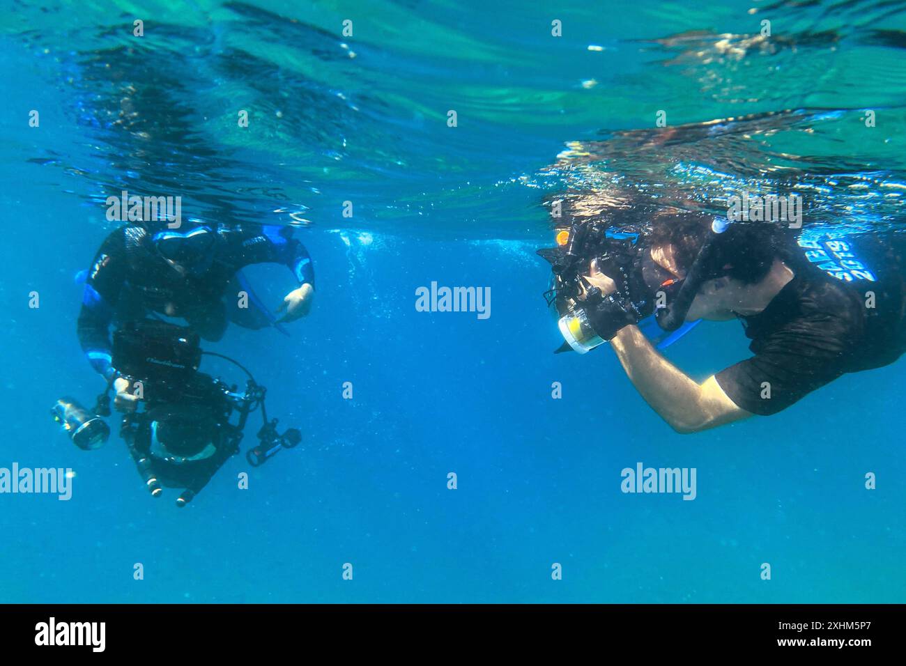 Sultanate of Oman, Governorate of Muscat, Nature Reserve of the ...