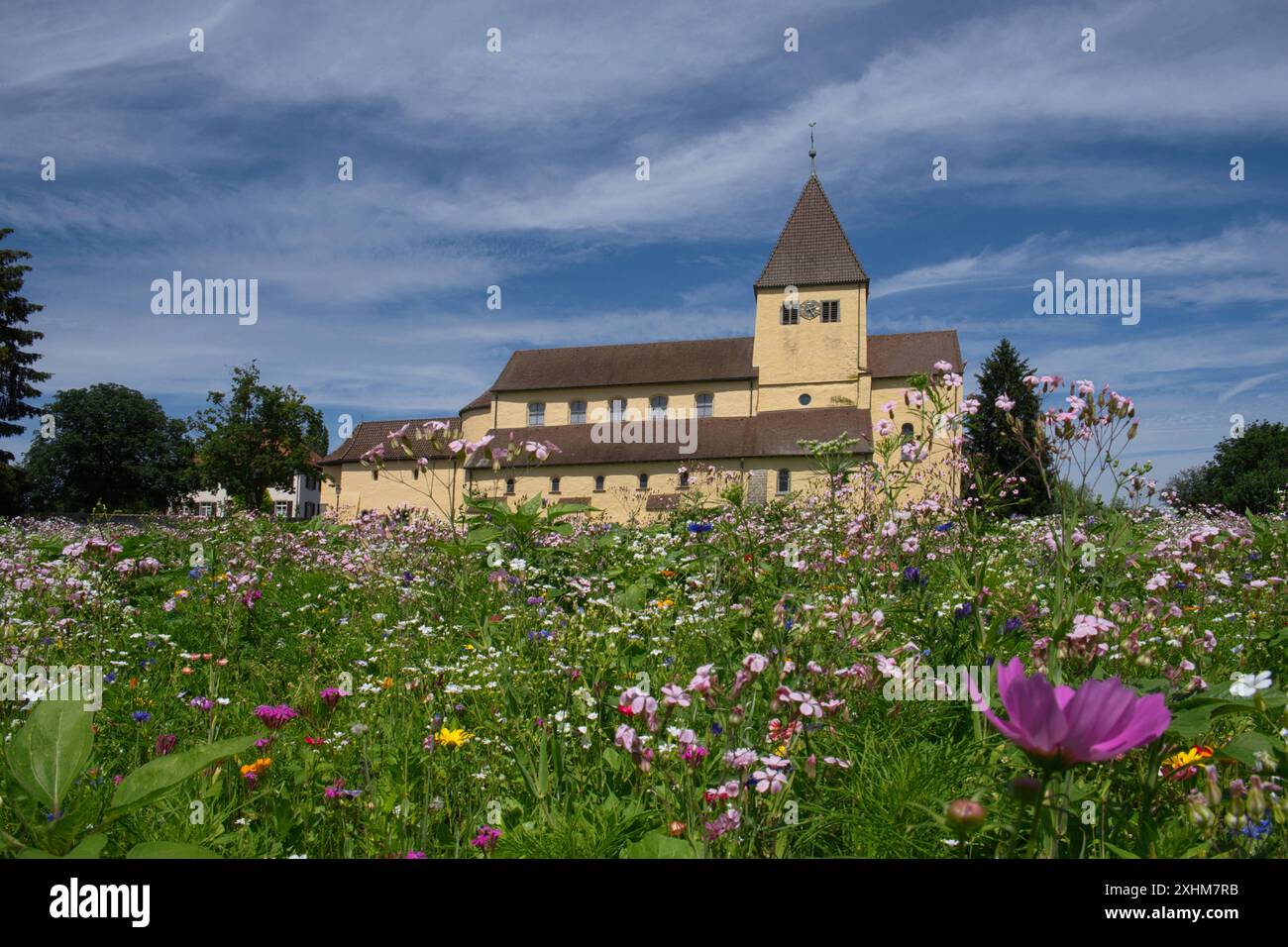 Insel Reichenau, Kirche St. Georg mit Blumenwiese *** Reichenau Island ...