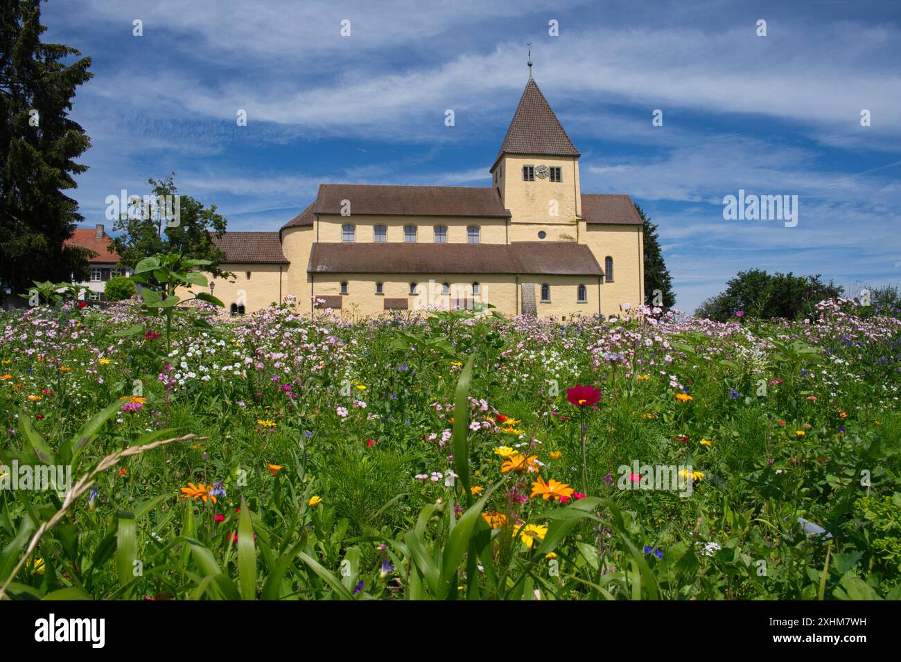 Insel Reichenau, Kirche St. Georg mit Blumenwiese *** Reichenau Island ...