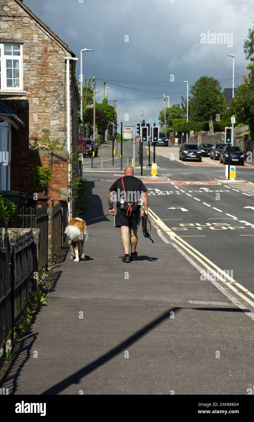 Man walking a dog back view hi-res stock photography and images - Alamy