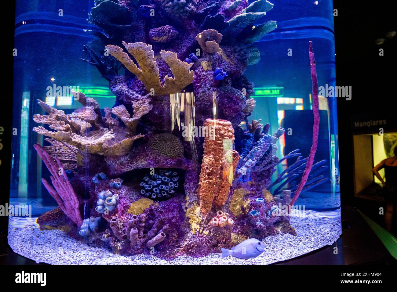 Biomuseo interior hi-res stock photography and images - Alamy