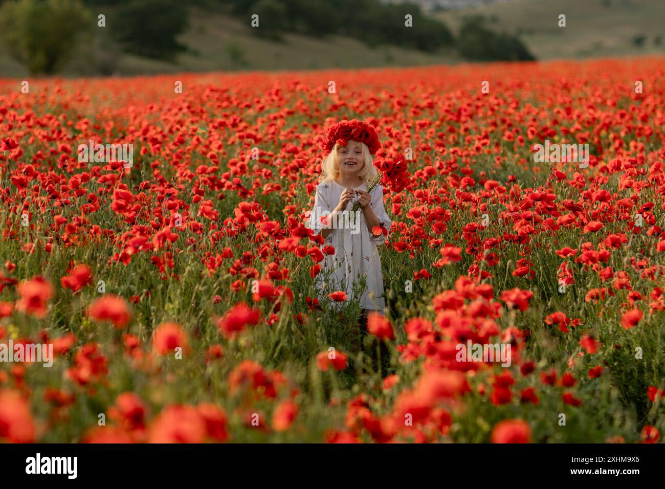 A young girl is walking through a field of red poppies. She is wearing ...