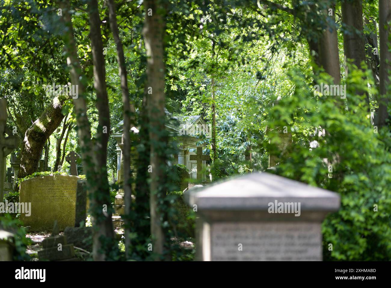A variety of grave markers and graves amongst trees and greenery in Highgate Cemetery, London ...
