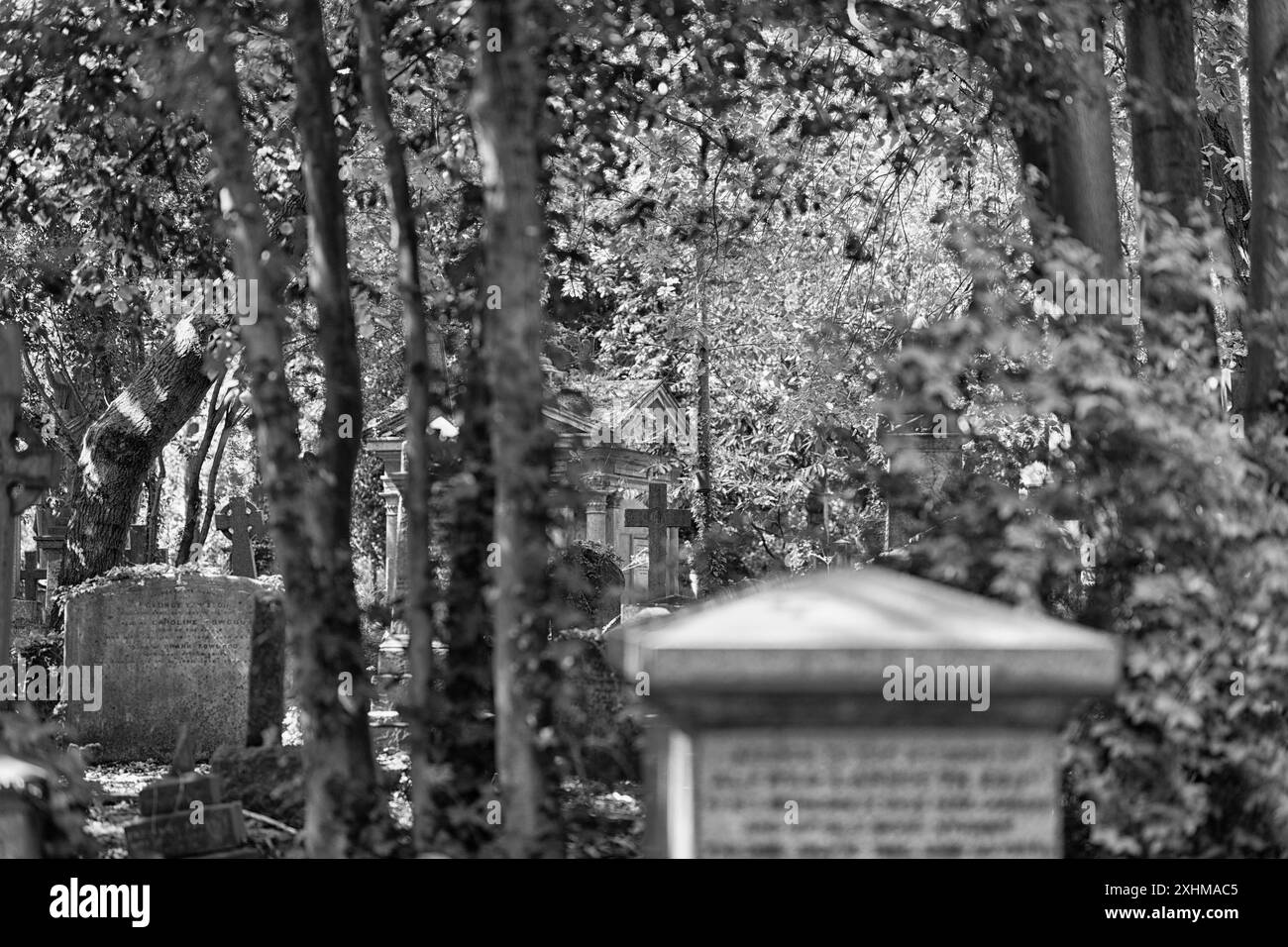 Gothic grave monuments Black and White Stock Photos & Images - Alamy