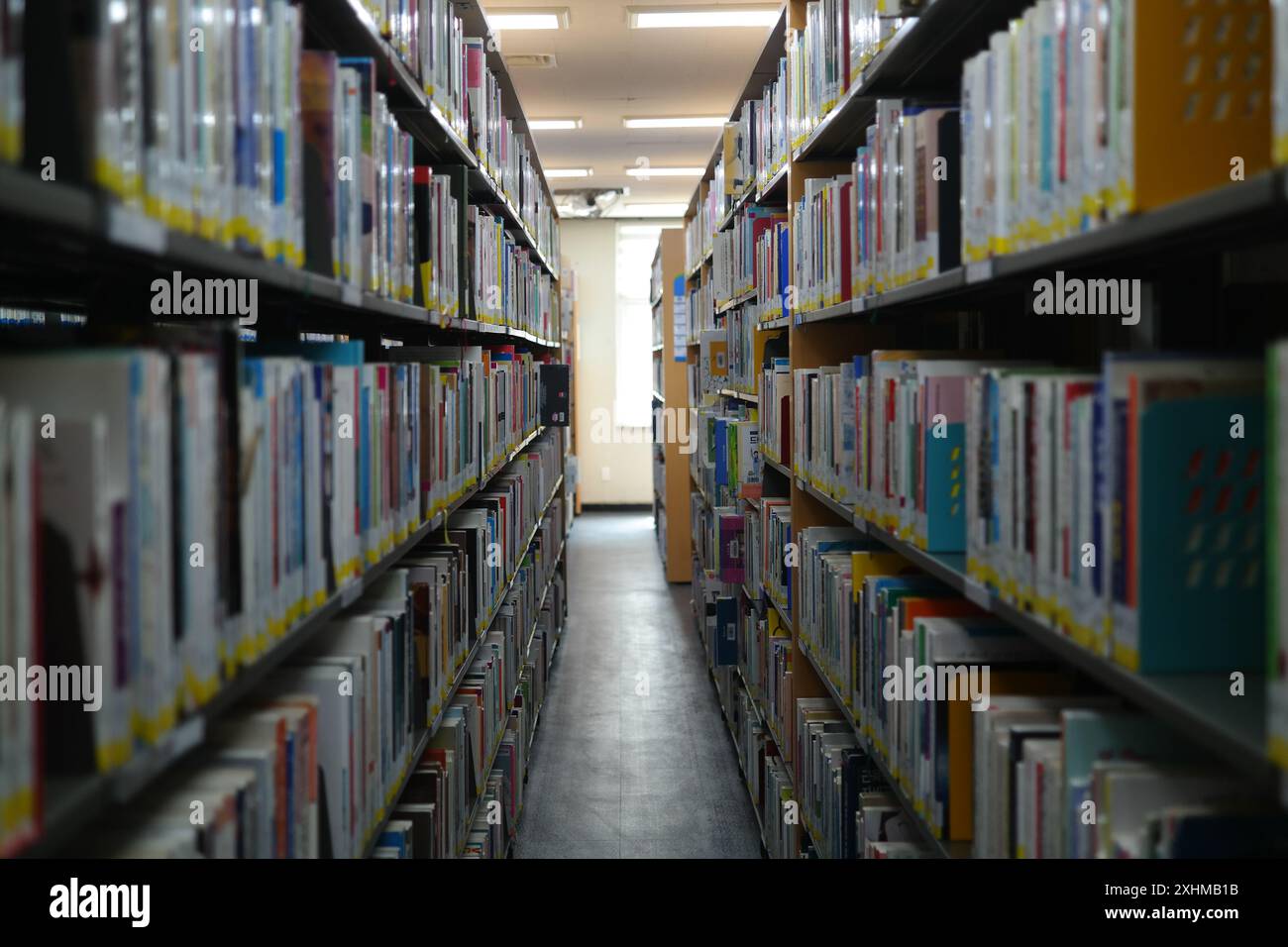 Interior of a library with books on both sides Stock Photo - Alamy