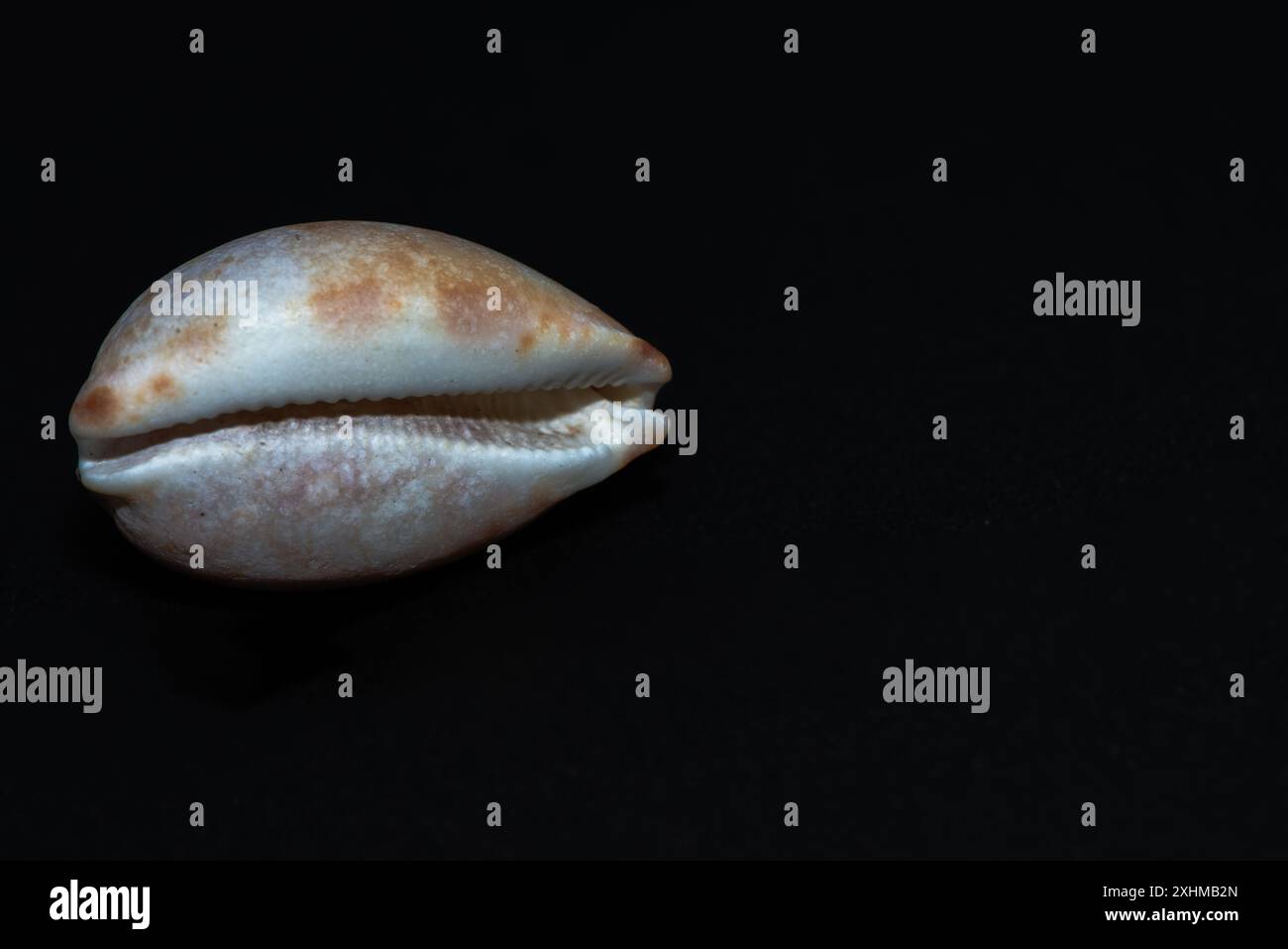 Detailedpattern hi-res stock photography and images - Alamy