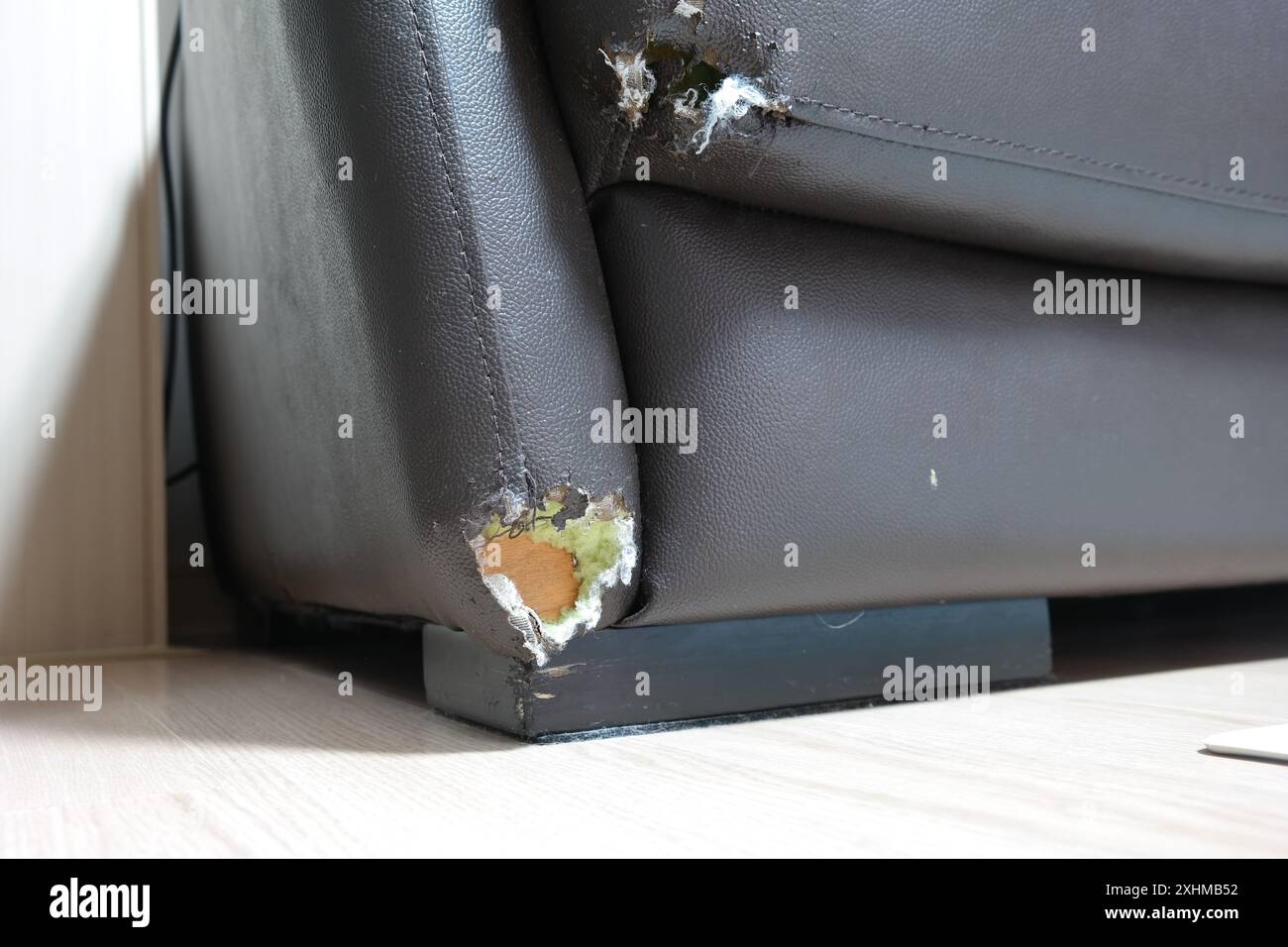 Sofa surface hi-res stock photography and images - Alamy