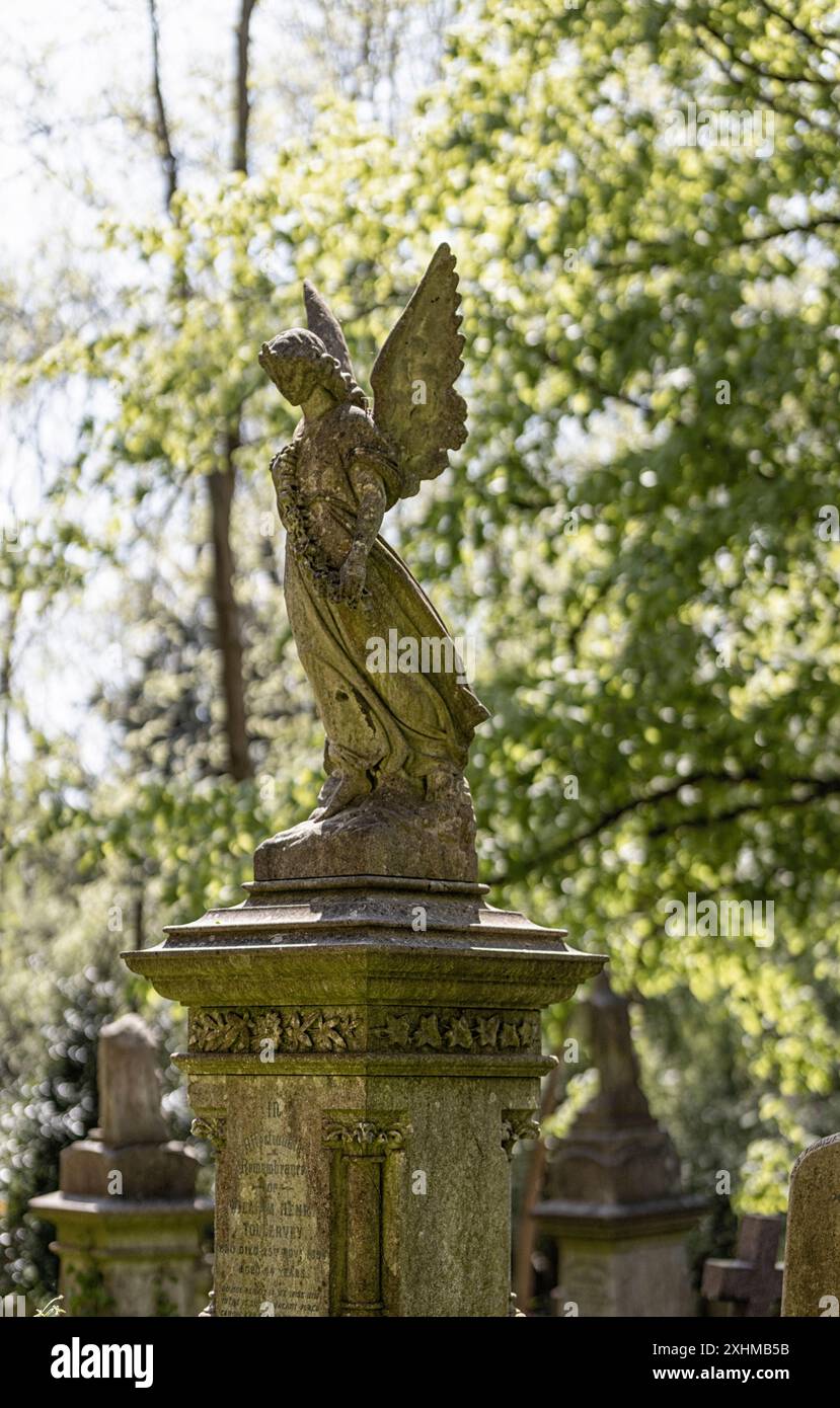 A stone, carved angel on top of a grave in Highgate Cemetery, London ...