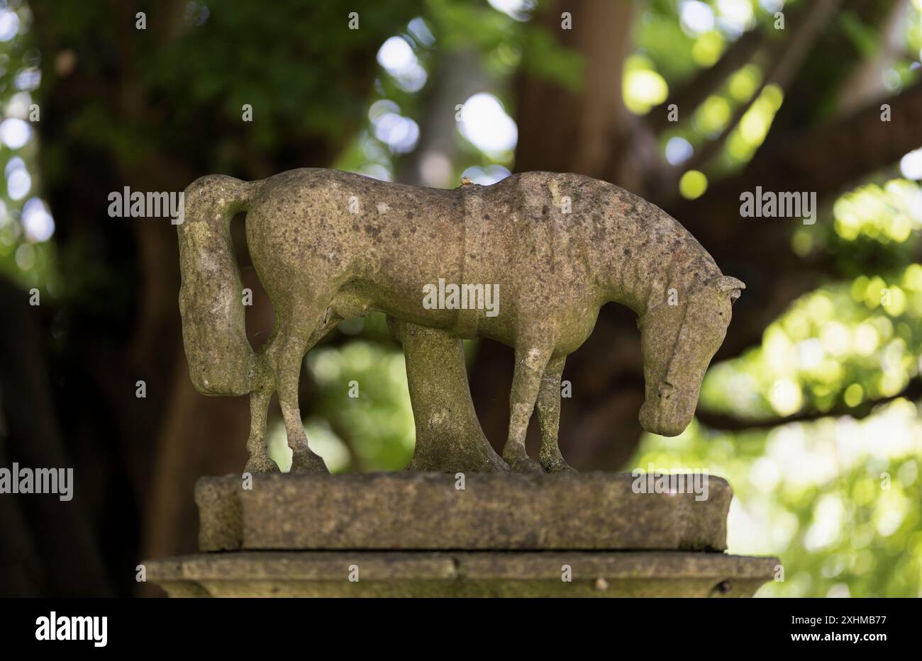 A stone, carved horse on top of the Atcheler's family grave with tree ...