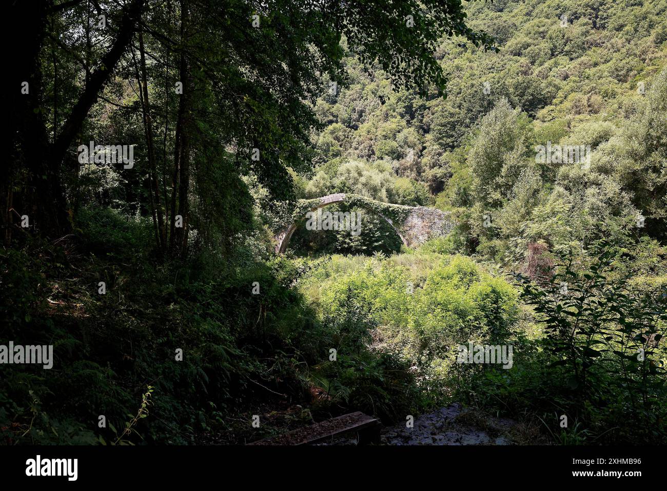 Savuto river hi-res stock photography and images - Alamy