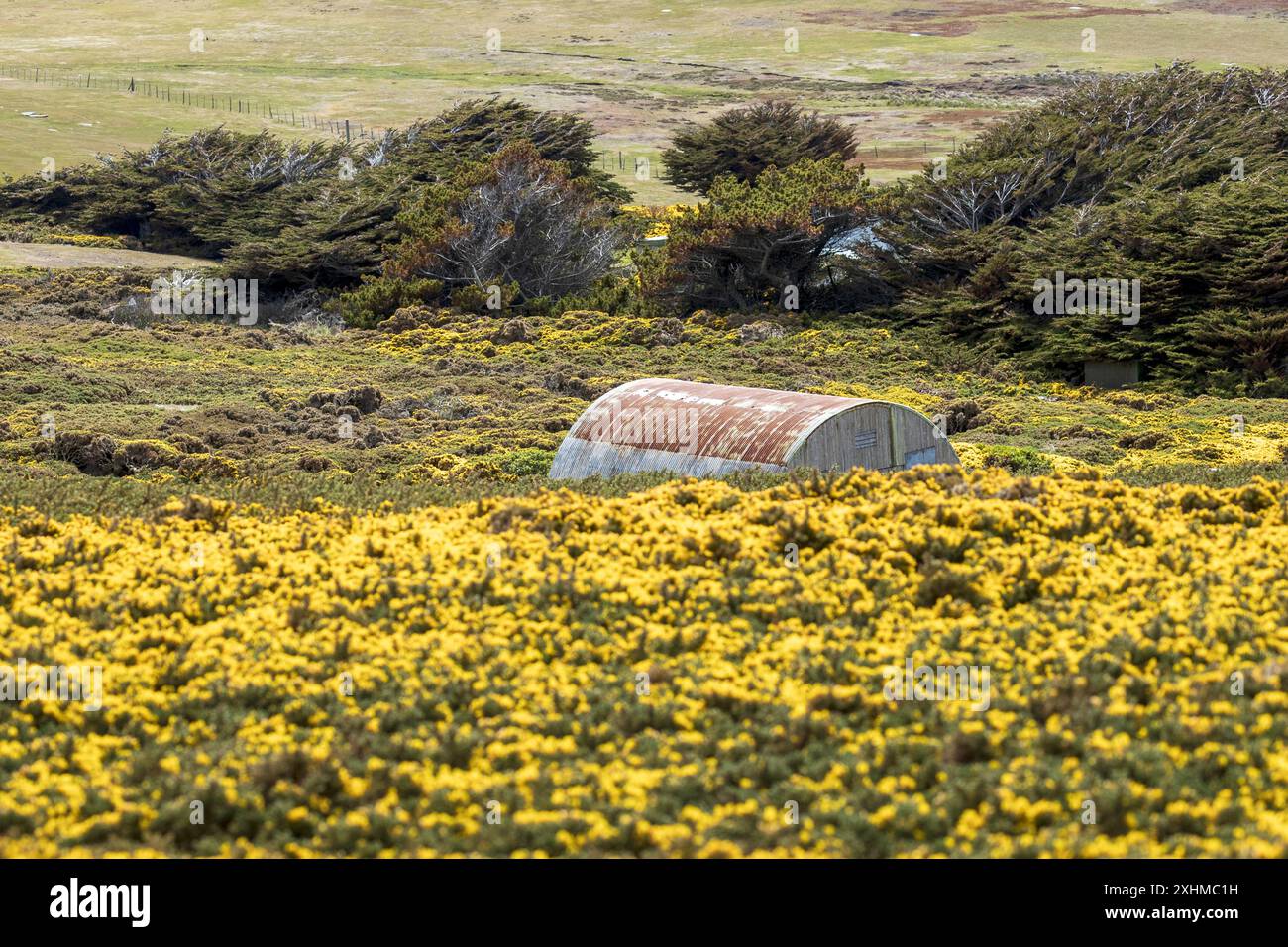 Corrugated farm shed, West Point Island, Falkland Islands, Sunday ...