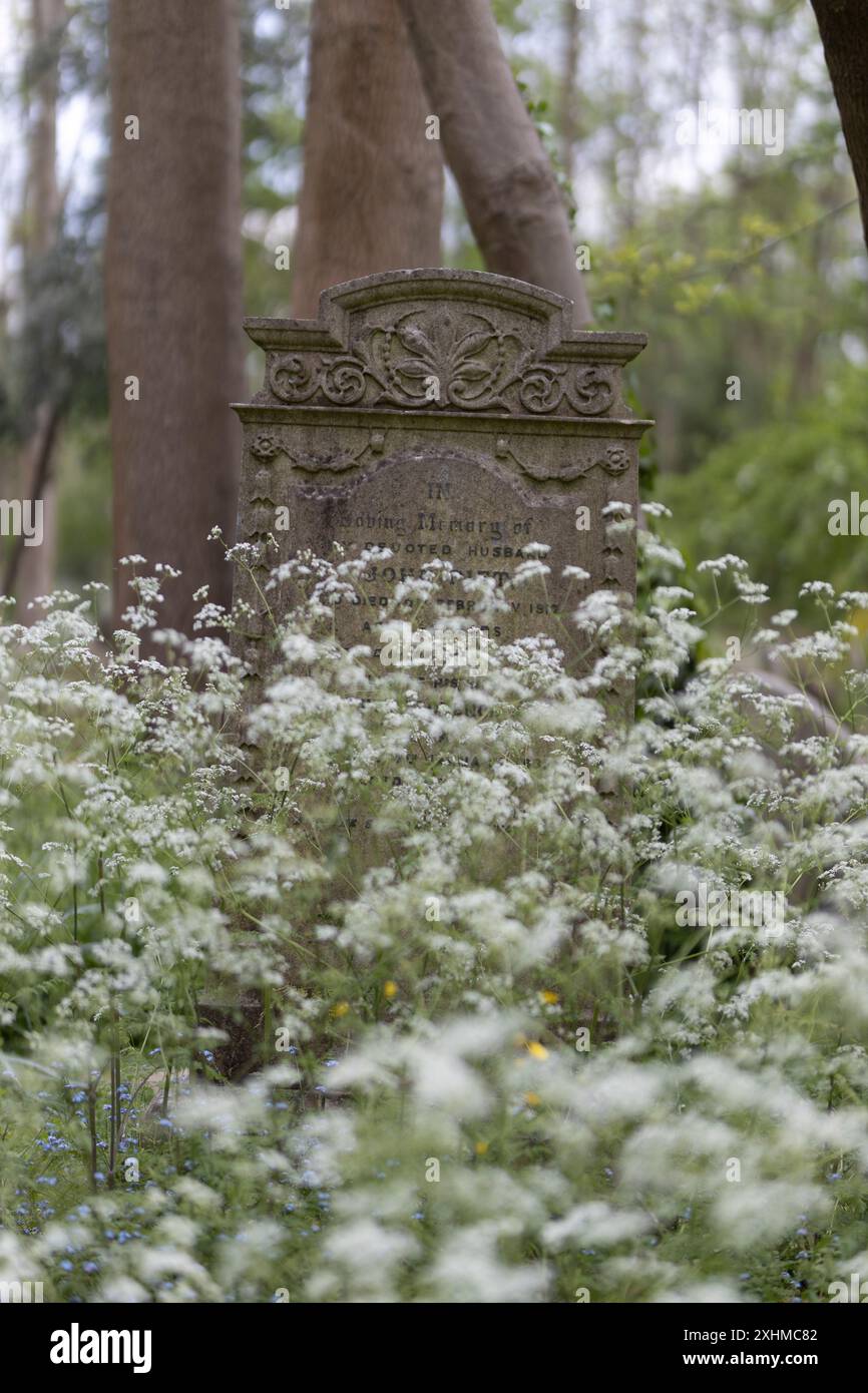 Victorian wildflowers hi-res stock photography and images - Alamy