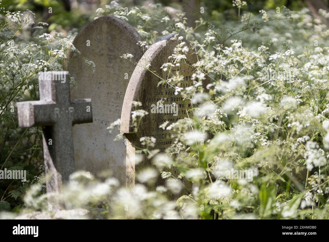 Cross cemetery grave stones hi-res stock photography and images - Alamy
