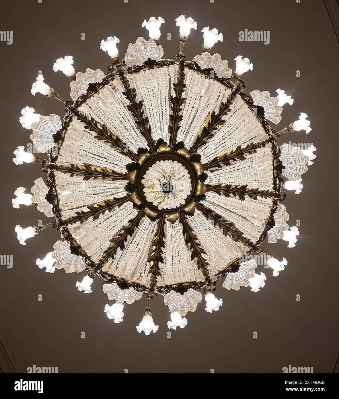 stairs and hall, decorations and entrance lights of the tiger museum ...