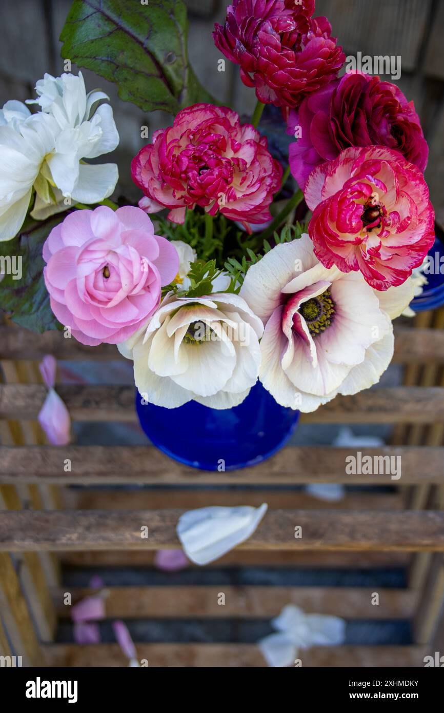 Overhead view of a colorful flower bouquet in a blue jug Stock Photo ...