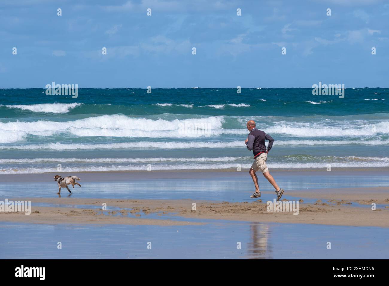 A man running after his dog on Gt Great Western Beach in Newquay in ...
