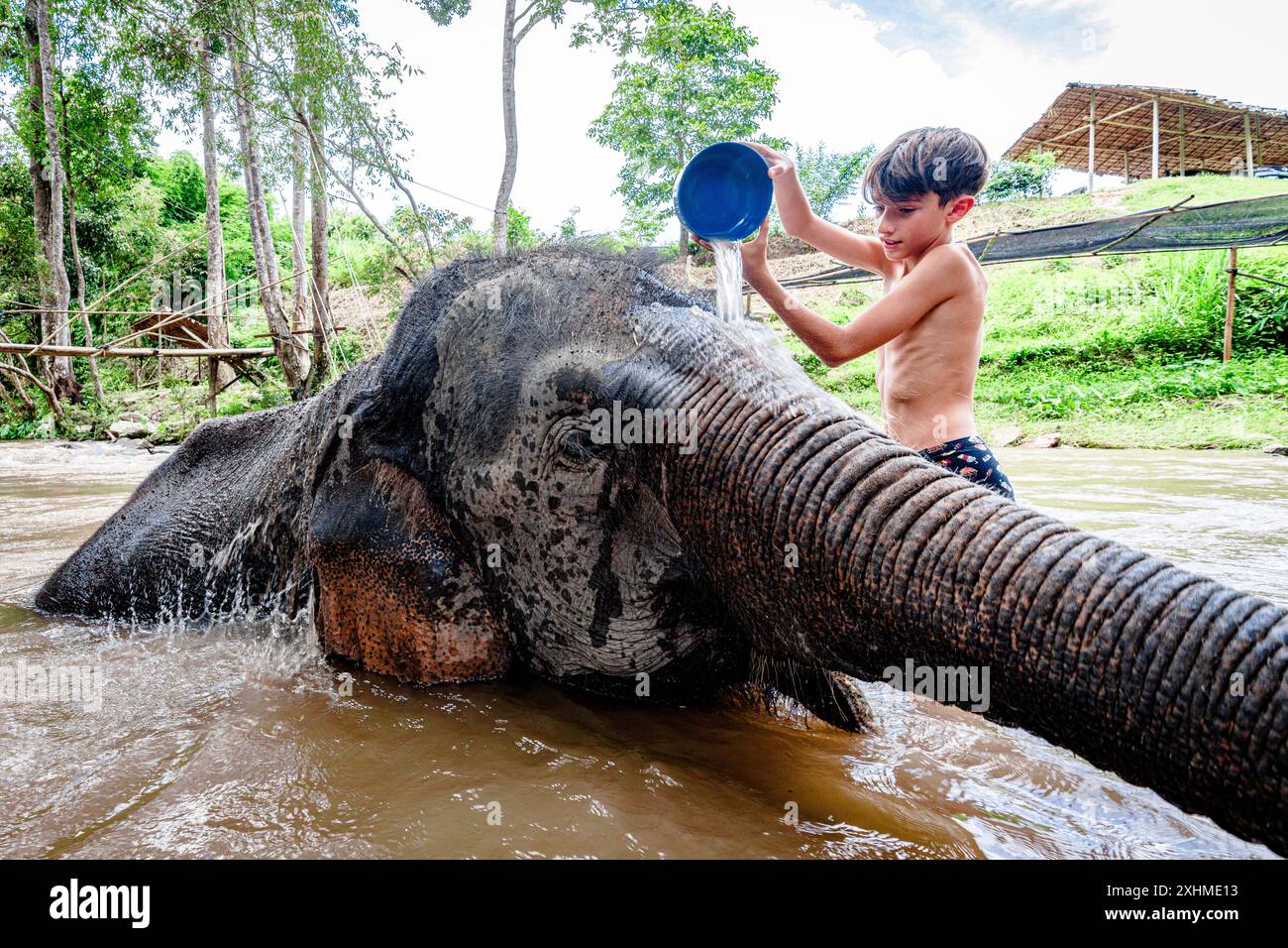 Cute boy having fun washing an elephant in a river, Thailand Stock ...