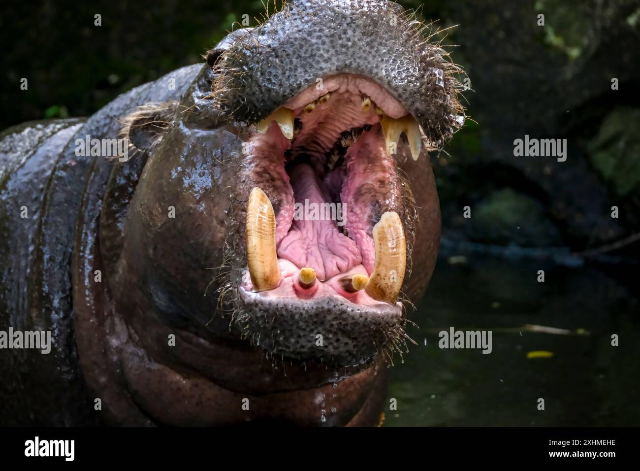 Sinar matahari hi-res stock photography and images - Alamy
