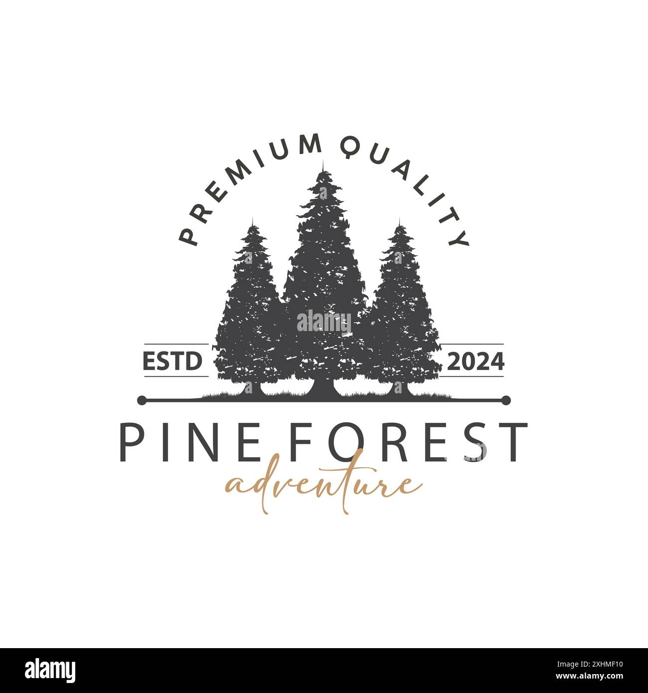 Forest Logo, Vector Forest Wood With Pine Trees, Design Inspirational ...