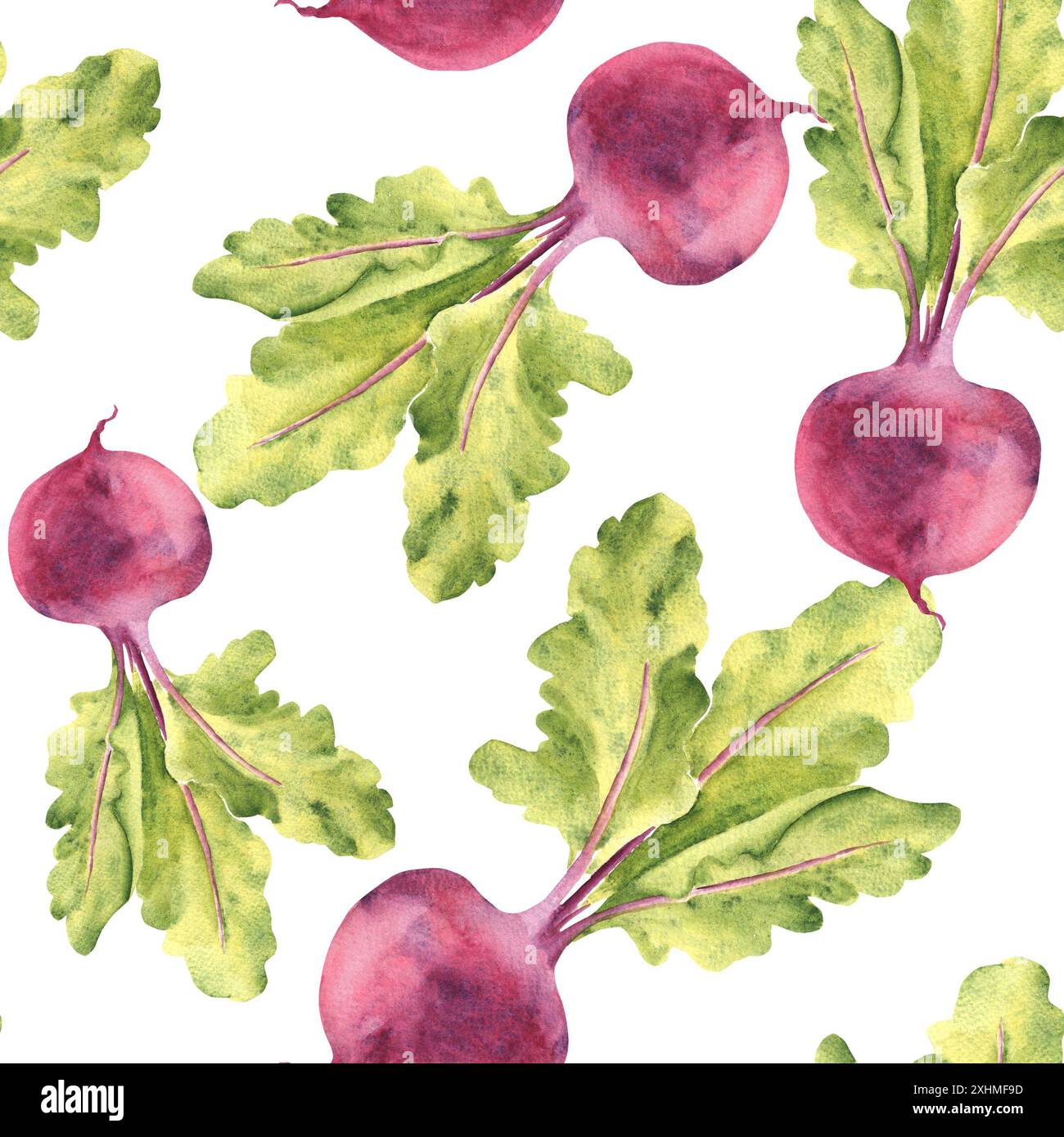 Watercolor Seamless Pattern with Beet root and green Leaves on a white ...