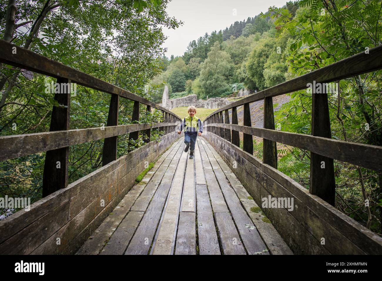 6 year old boy hi-res stock photography and images - Alamy