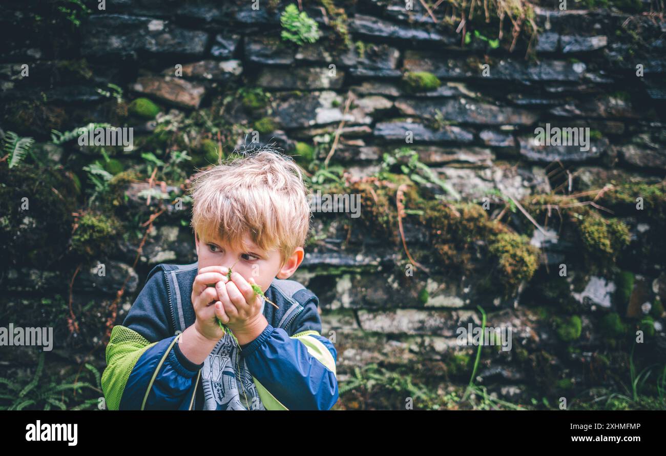 Young 6 Year Old Boy Smelling Leaves in Woodland Stock Photo - Alamy