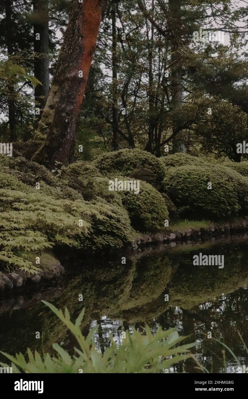 Lush greenery and water hi-res stock photography and images - Alamy