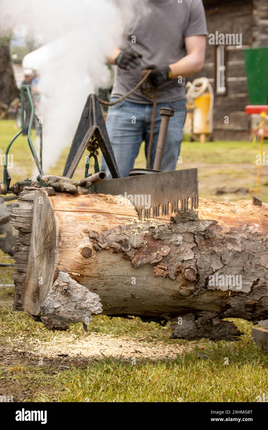 Man operating vintage sawmill, cutting log with steam power Stock Photo ...