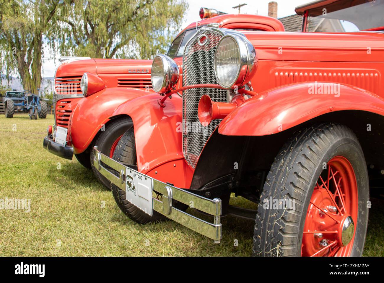 Vintage red cars on display outdoors, with tractors in the background ...