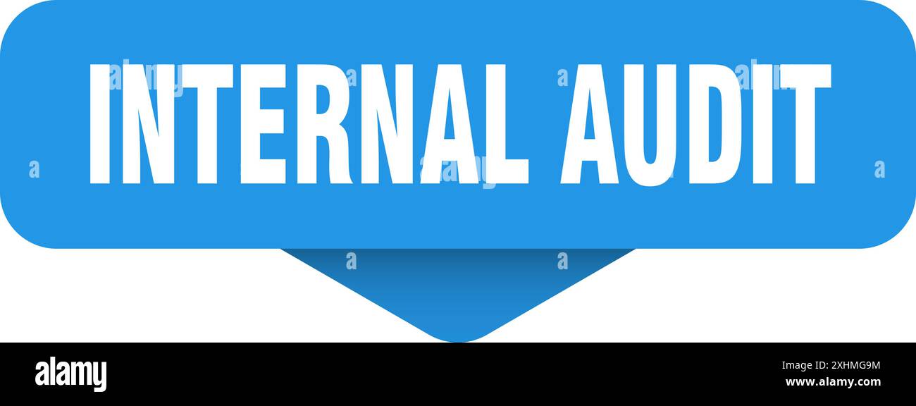 internal audit sticker. internal audit sign on transparent background ...