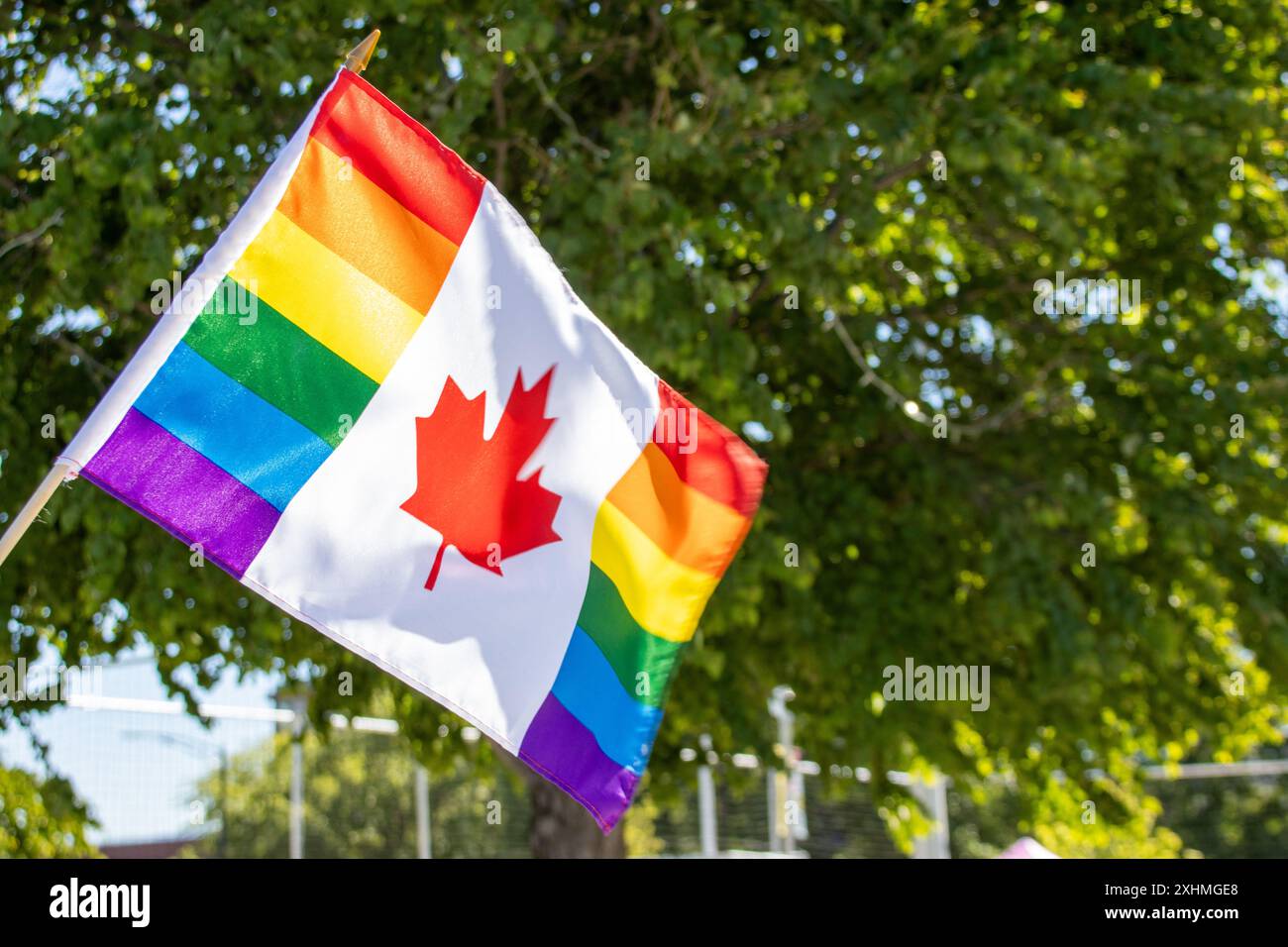 Canadian Pride flag waving with green foliage background Stock Photo ...