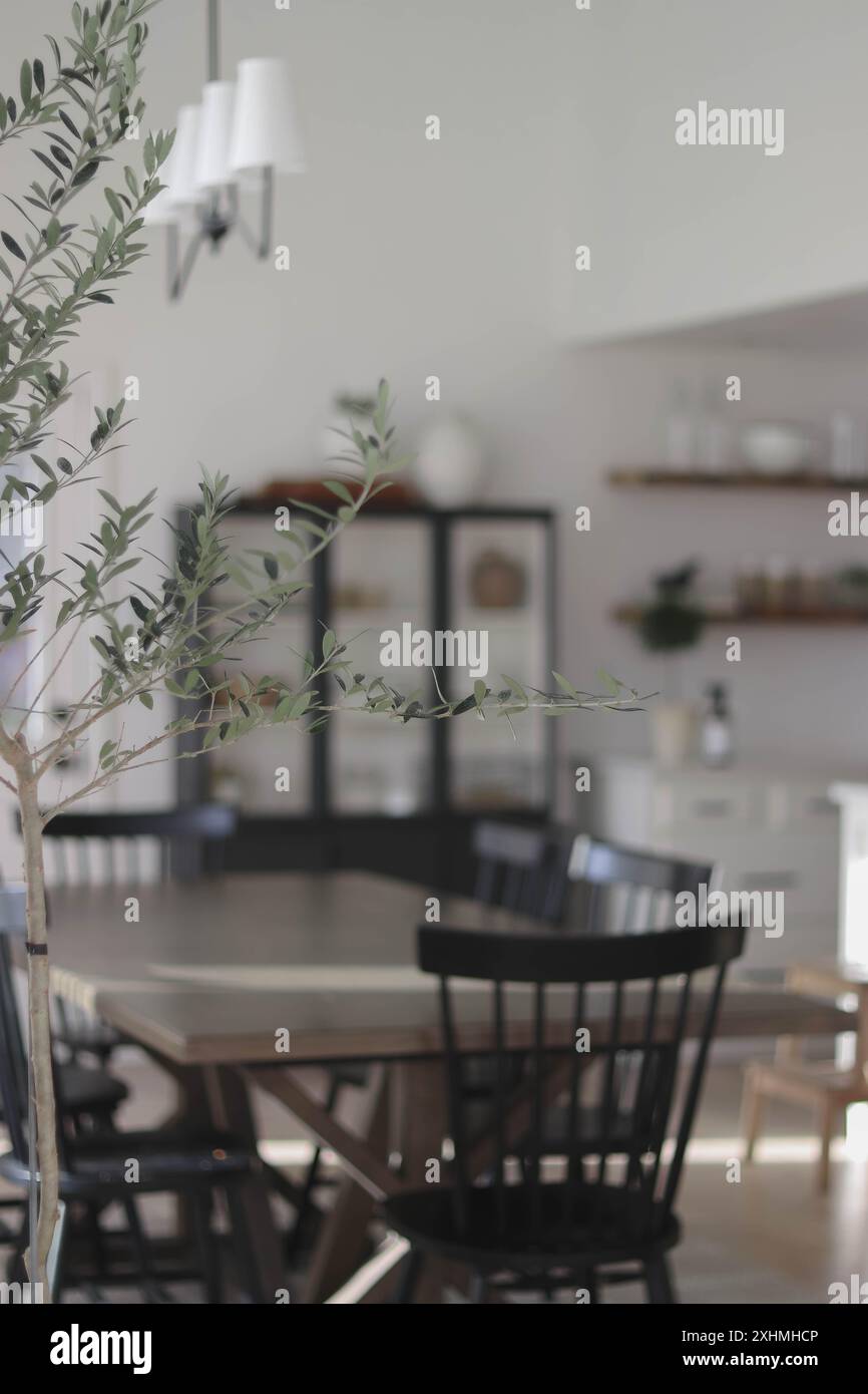 Olive Tree View into the Dining Room Stock Photo - Alamy