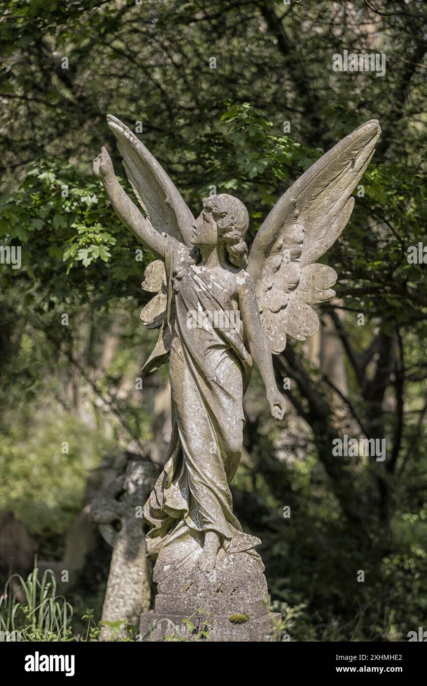 Natural growth cemetery hi-res stock photography and images - Alamy