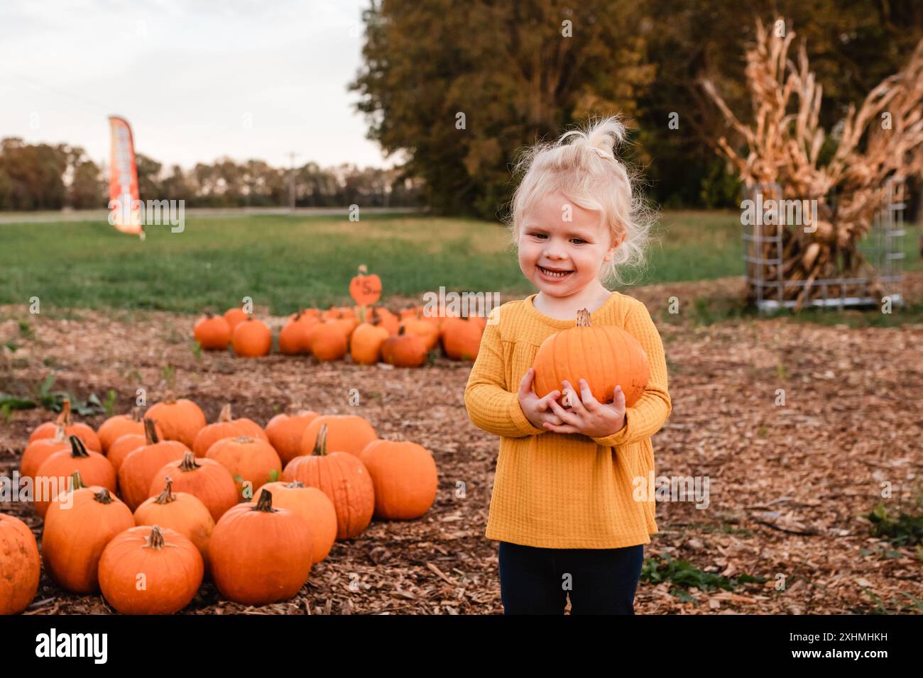 Child holding small pumpkin at roadside farm stand Stock Photo - Alamy
