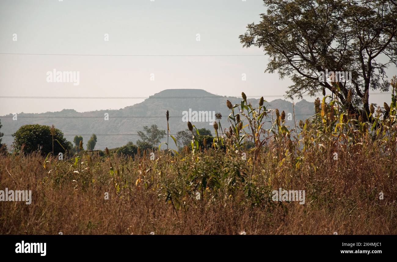 Early morning sunshine in fields on the road from Kaduna to Jos ...